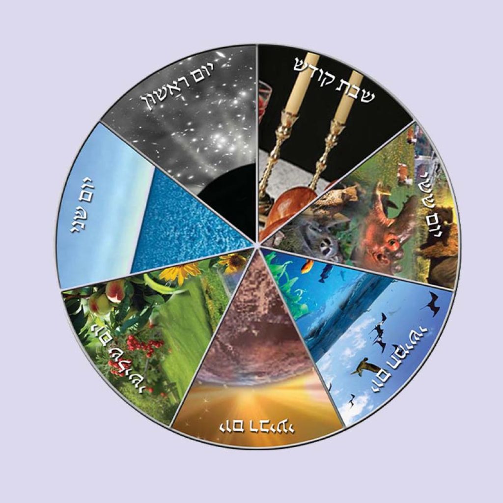 Six Day Creation Spinner – Torah Umesorah Teacher Center