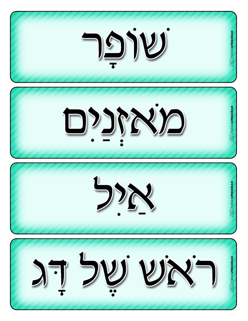Yamim Noraim Visual Aids Flashcards – Torah Umesorah Teacher Center