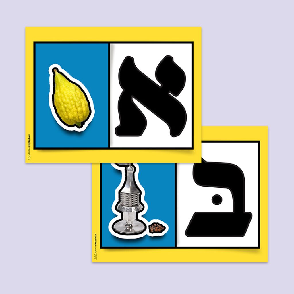 Aleph Bais Cards with Picture cards Hebrew – Torah Umesorah Teacher Center