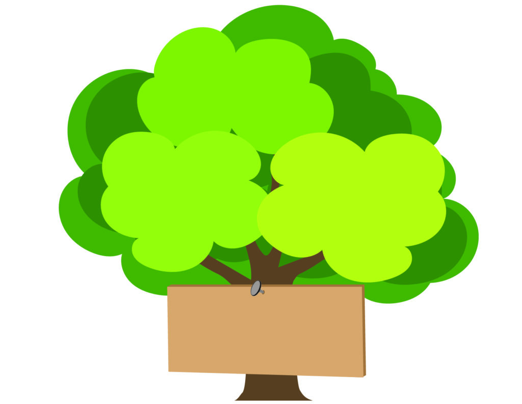 Shorashim Display | Trees & Roots – Torah Umesorah Teacher Center