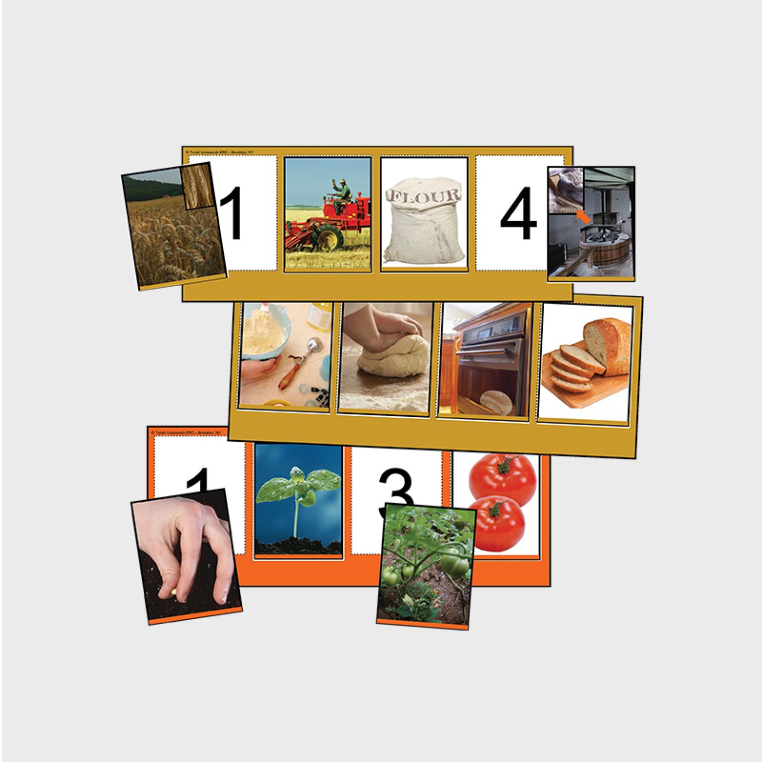 Brachos Sequencing Cards – Torah Umesorah Teacher Center
