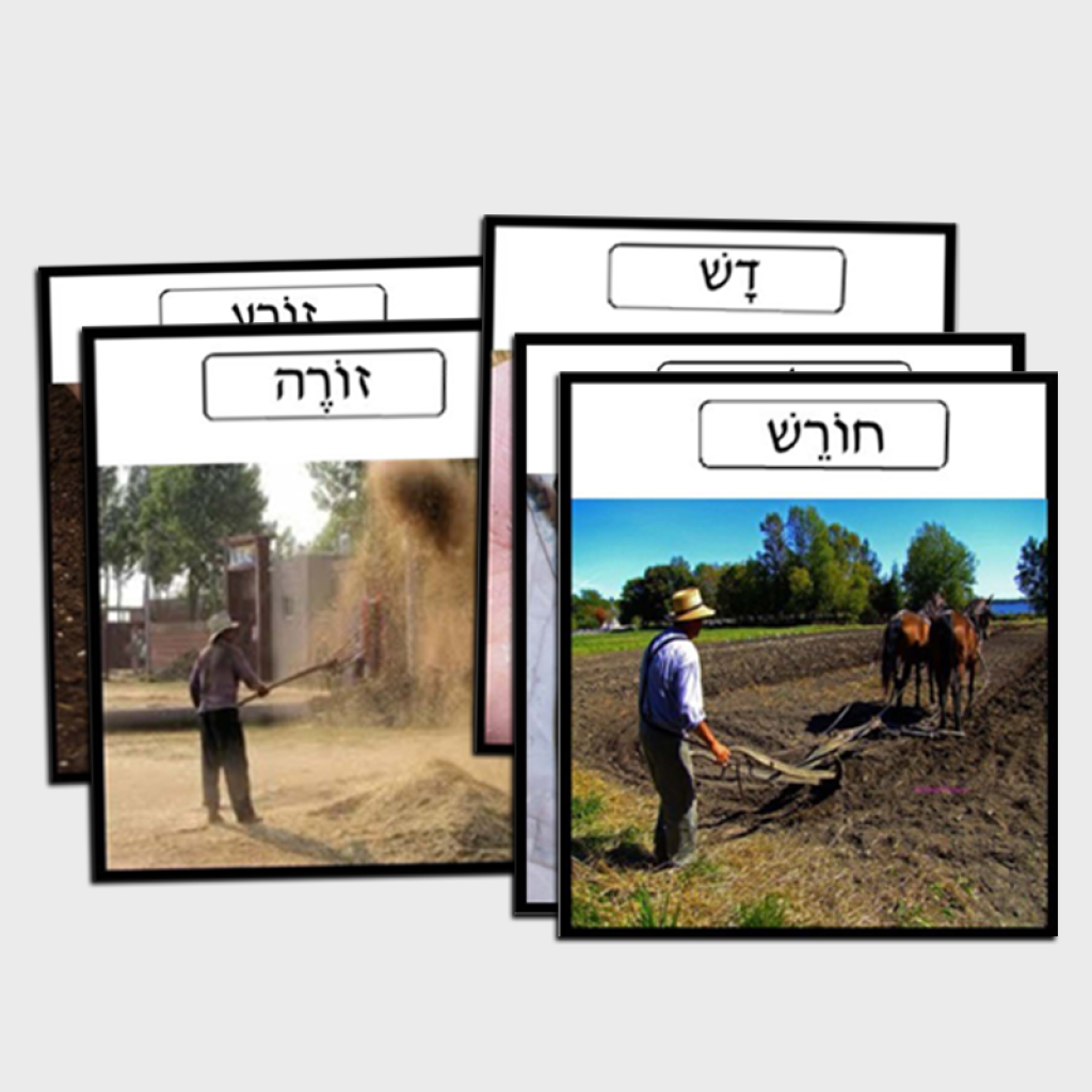 39 Melachos Cards – Torah Umesorah Teacher Center