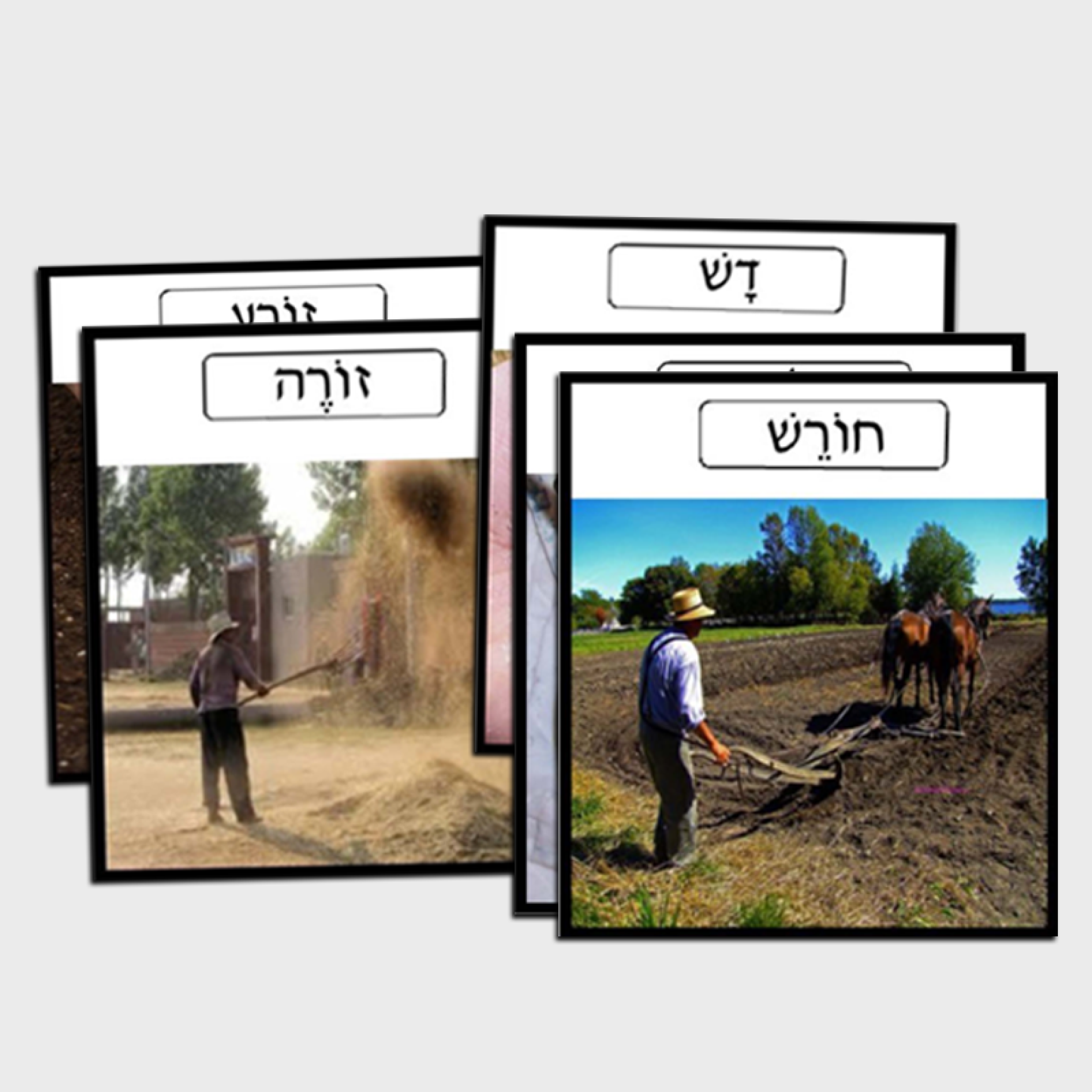 39 Melachos Cards – Torah Umesorah Teacher Center