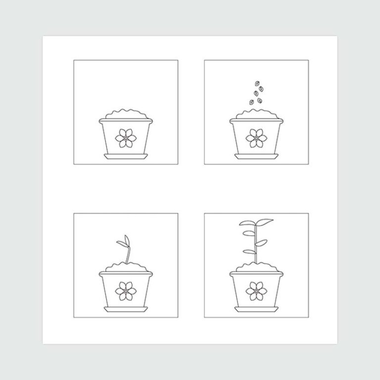 Plant Sequencing Cards – Torah Umesorah Teacher Center