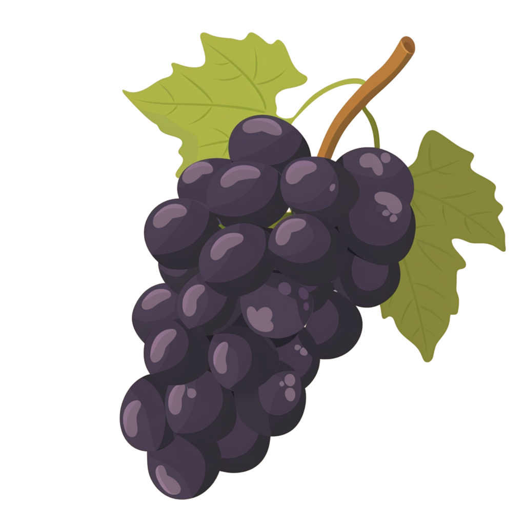 grapes – Torah Umesorah Teacher Center